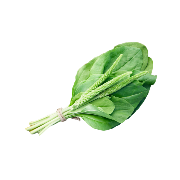 Tilman | Plantil - For optimal breathing comfort!