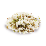 Tilman | Nasafytol - Support your immunity